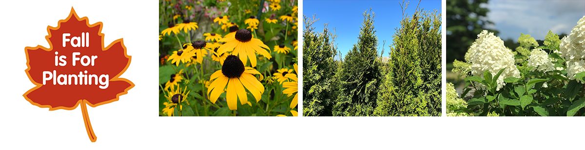 Fall is For Planting - Heritage Farm & Garden
